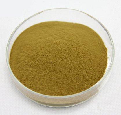 Sky Fruit Extract / Fructus Swietenia Macrophylla Has The High Protein Low Sugar Low Fat High Vitamin