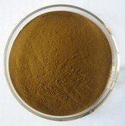 Beta Ecdysterone Plant Extract Powder Cyanotis Arachnoidea CAS 3604 87 3
