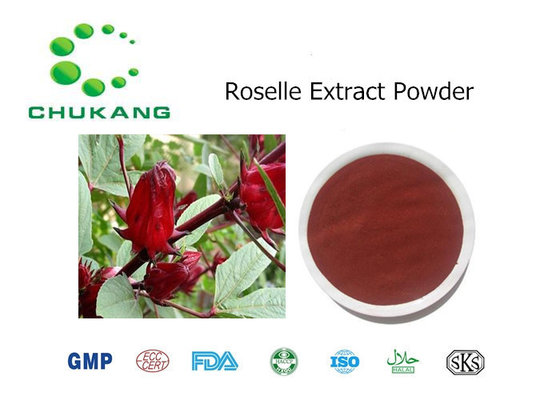 Roselle Extract Polyphenol Plant Extract Powder Hibiscus Sabdariffa Linn.