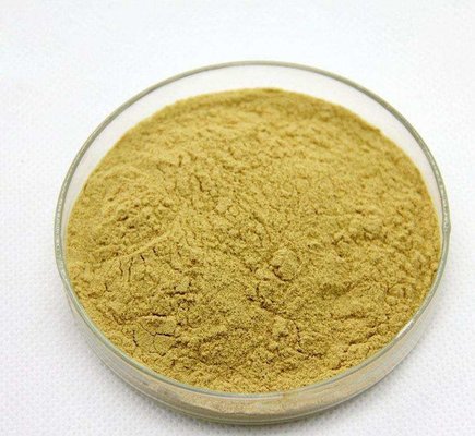 Mango Plant Extract Powder Mangiferin Irvingia Gabonensis Organic Herbal Powder