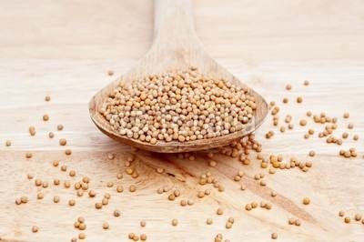 Mustard Seed Plant Extract Powder Sinigrin Yellow Powder Food Ingredients
