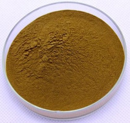 Yucca Saponins Plant Extract Powder CAS 126 19 2 Yucca Schidigera Food Ingredients