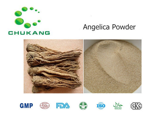 Angelica Powdered Herbal Extracts Radix Angelicae Sinensis Natural Ingredients