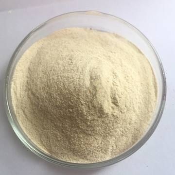Astragalus Root Powdered Herbal Extract Astragalus Membranaceus Bge Food Ingredients