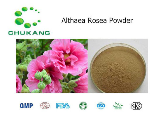 Althaea Rosea Powdered Herbal Extracts Althaea rosea Linn Cavan Food Ingredients