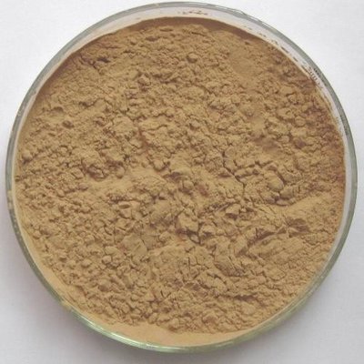 Goldtherad Powdered Herbal Extracts Coptis Chinensis Franch Natural Herb Powder
