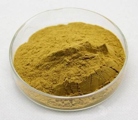St Johns Wort Powdered Herbal Extracts Hypericum Perforatum L Food Ingredients