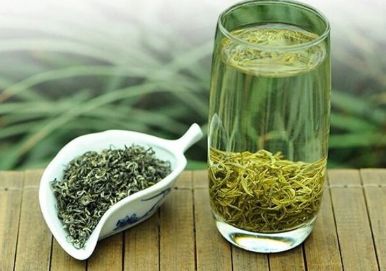 Green Tea Powdered Herbal Extracts Camellia Sinensis Natural Herb Powder