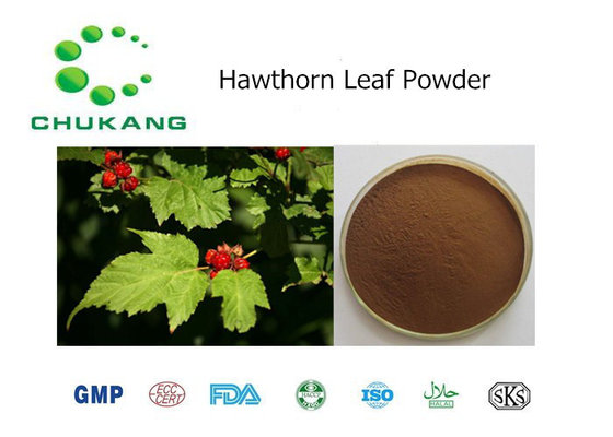 Hawthorn Leaf Powdered Herbal Extracts Crataegus Pinnatifida Bunge Herbal Ingredients