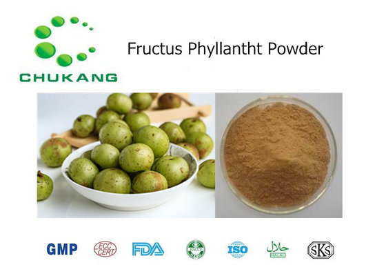 Fructus Phyllantht Powdered Herbal Extracts Phyllanthus Emblica Linn Natural Ingredients