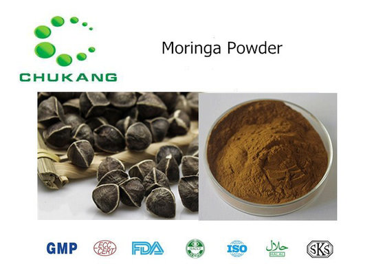 Moringa Powdered Herbal Extracts Moringa Oleifera Lam  Treasure All Over The Body