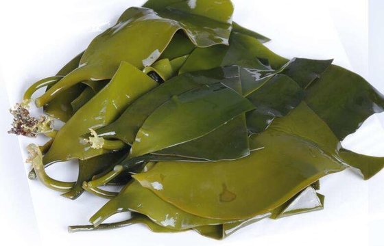 ISO Passed Organic Kelp Powder / Kelp Extract CAS 9072 19 9 With Two Years Shelf Life