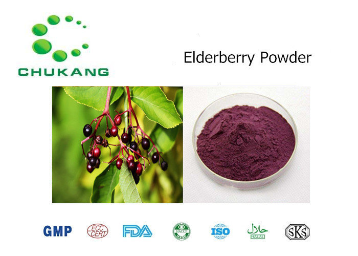 100% Pure Elderberry Fruit Powder Sambucus Nigra L. Protect And Regenerate Retinal Purple Rhodopsin