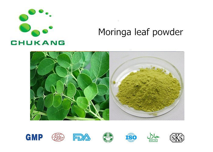 Moringa Leaf Powder Trifolium Pratense L As Potent Antitubercular And Used To Cure Liver Diseases