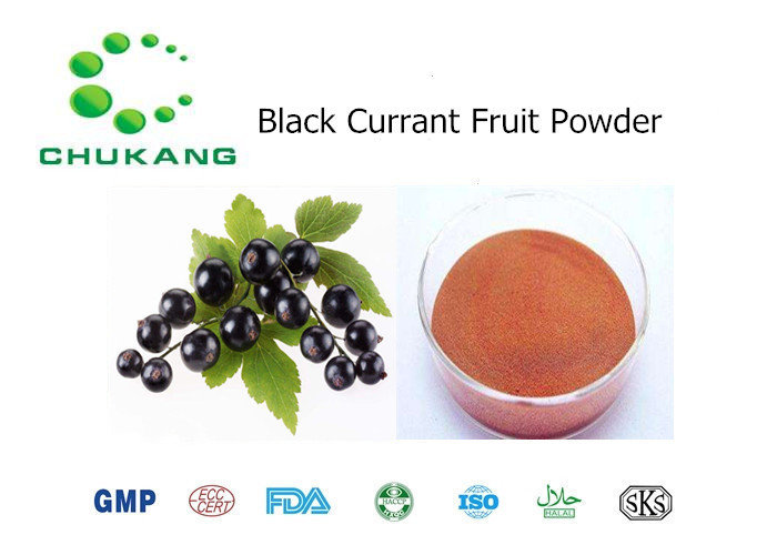 High Purity Powder Black Currant Fruit Powder Ribes nigrum L. Improving Human Immunity
