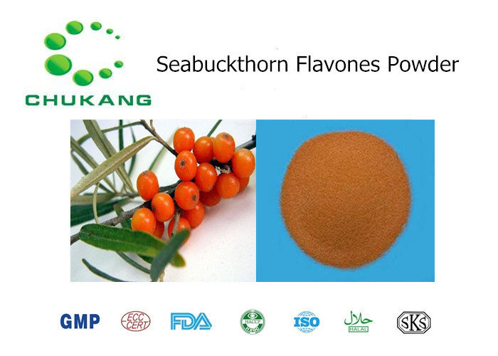 Natural Herbal Extract Seabuckthorn Extract Hippophae Rhamnoides Linn CAS 525 82 6