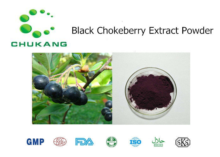Organic Plant Extract Black Chokeberry Extract Powder Aronia Melanocarpa Nature Herbal Powder CAS 9876 97 1