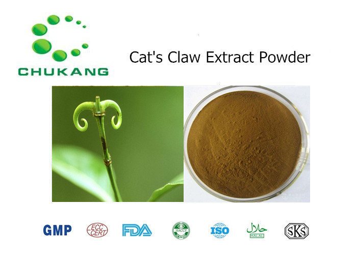 Organic Herbal Powder Cat's Claw Extract Applied In the Health And Pharmaceutical Field