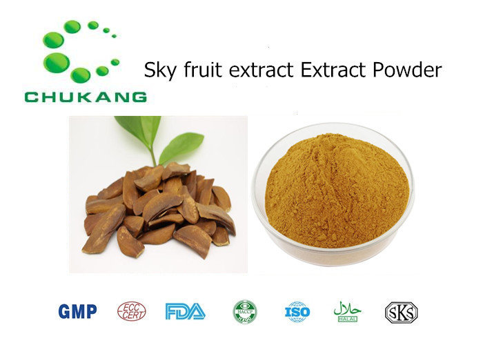 Sky Fruit Extract / Fructus Swietenia Macrophylla Has The High Protein Low Sugar Low Fat High Vitamin