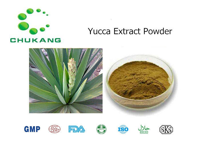 Yucca Saponins Plant Extract Powder CAS 126 19 2 Yucca Schidigera Food Ingredients