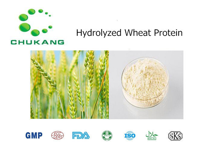 Hydrolyzed Wheat Protein Amino Acid Powder In Biochemical Ingredients Nutrition Products