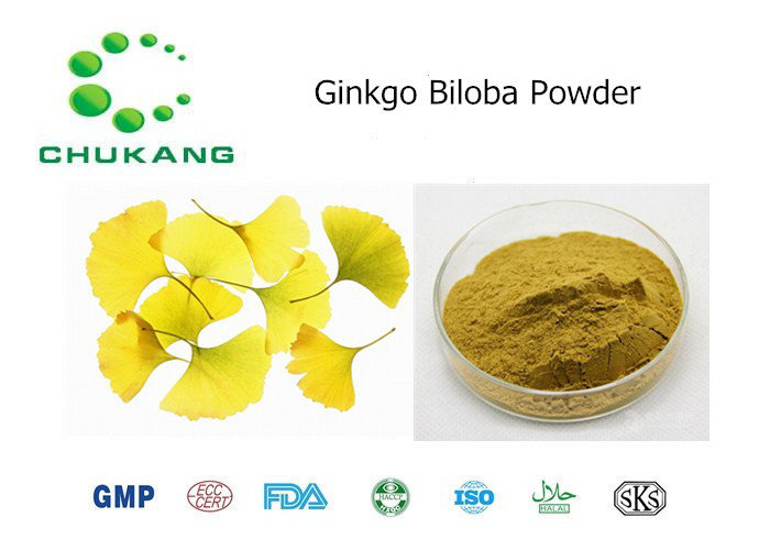 Ginkgo Biloba Powdered Herbal Extracts Reduce The Level Of Cholesterol In Human Blood