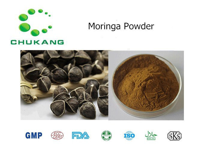 Moringa Powdered Herbal Extracts Moringa Oleifera Lam  Treasure All Over The Body