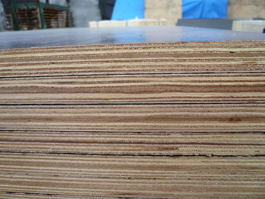 Durable Brown / Black Film Faced Plywood / insulated concrete forming plywood