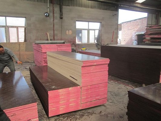 Film Shuttering Plywood Finger Jointed Core 610mm x 2440mm x 18mm