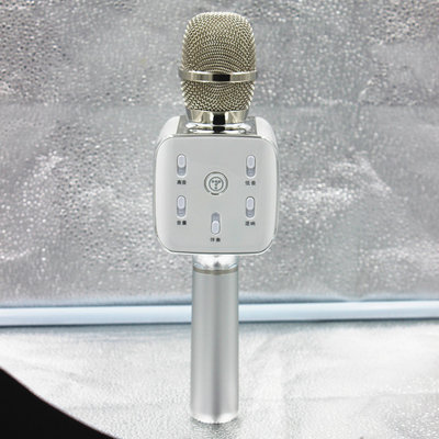 Tosing Plus Portable Microphone Speaker Wrieless Karaoke Playe For Singing Support Android ,IOS PC