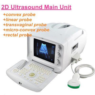 Human Portable Ultrasound Scanner with 18-month warranty/CE Ultrasonic with factory support/USG echo device/Sonography