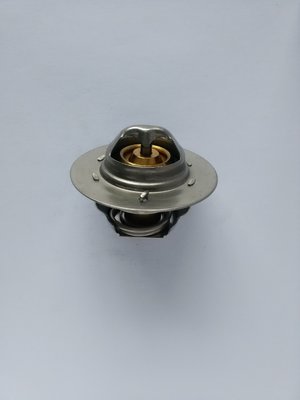Coolant Thermostat 6994257 95WM-8575-AA 90916-03040 90916-03055 909 SWT 4510-88 for FORD TOYOTA