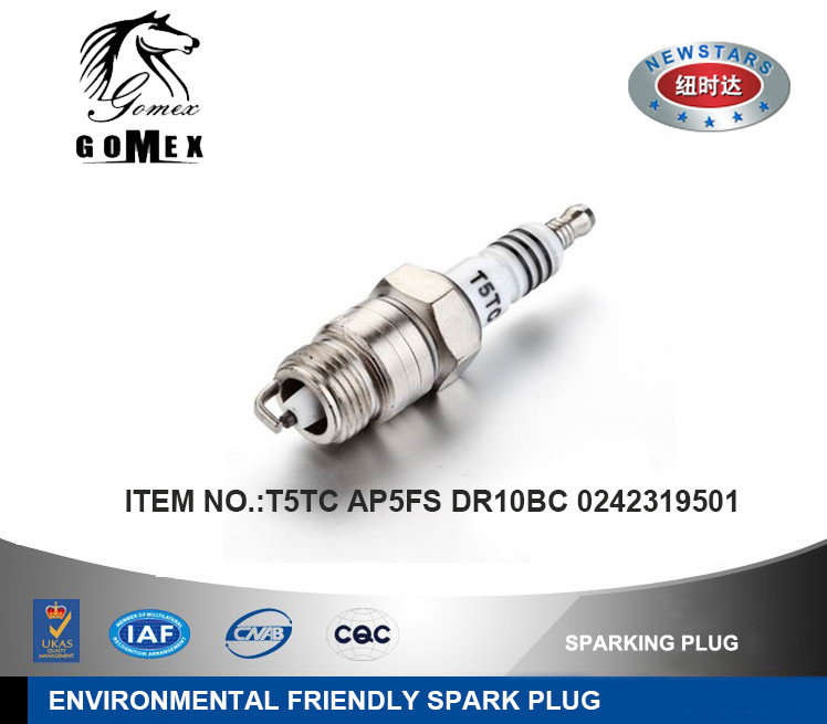 T5TC AP5FS DR10BC 0242319501 Car Spark Plugs for AC FORD FORD OTOSAN