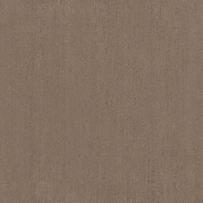 Het volledige Lichaam verglaasde de Zuivere Opgepoetste Tegels 600x600 van het Kleurenporselein/Matte Oppervlakte
