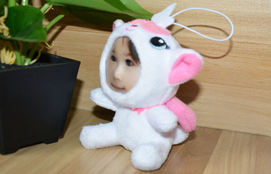 Il gatto della peluche farcito fronte di bianco 10CM DIY 3D ha farcito le bambole con i fronti della foto