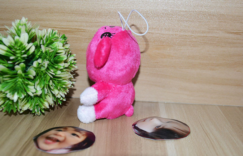 Le bambole del fronte 3D del regalo 10CM di San Valentino hanno farcito l'orso porpora dei giocattoli della maschera della foto della peluche