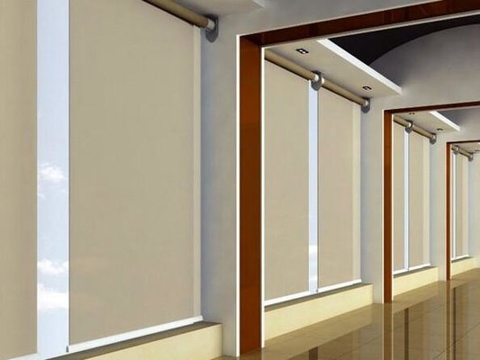 Auto Wifi Smart Daylight Fabric motorized/manual roller blind Roller Shades outdoor Custom