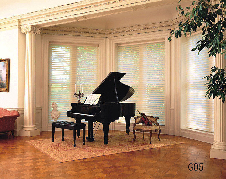Modern Double Layer beige Fabric Roller Blinds Shangri-la blind For Office Home Windows Custom