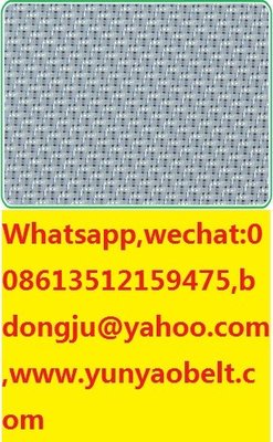 Polyester material linear screen wire mesh belt for food drying