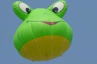 PVC gonflable mignon de produits de la publicité flotté annonçant le ballon formé par animal