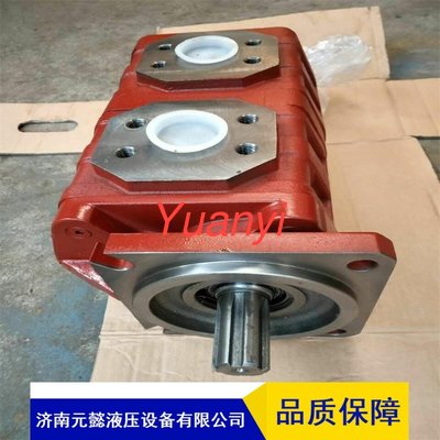Jinan Hydraulic Pump Co.,Ltd Road Roller CMZ2080 CMZ2063 Hydraulic Gear Motor