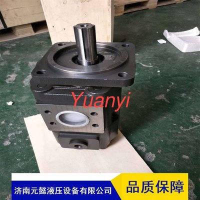 Jinan Hydraulic Pump JHP2080/2063 JHP2080/2050 JHP2080/2040 Double Gear Pump