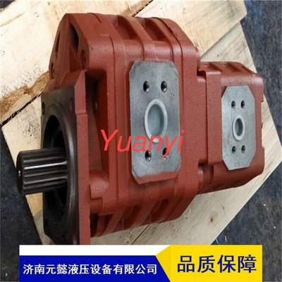 Jinan Hydraulic Pump Co.,Ltd CBGJ2100/1010 CBGJ2080/1016 Double Hydraulic Gear Pump