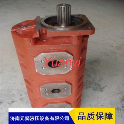 Jinan Hydraulic Pump Co.,Ltd JHP2080/2063 JHP2080/2080 JHP2080/2050 Double Hydraulic Gear Pump