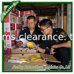 Seehog Ningbo internet facility customs clearance agent_one day fast clearance service