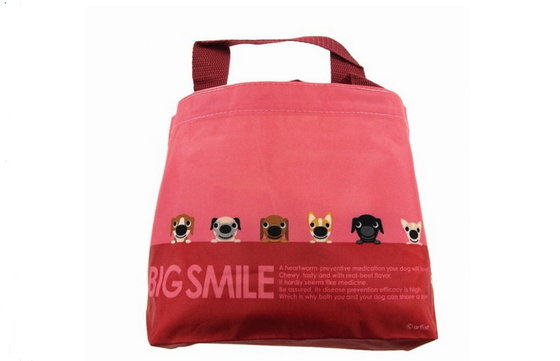 Cloth Folding Shopping Bag
