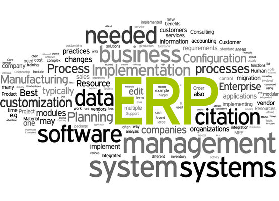 Professional Cloud Based ERP Software Enterprise Resource Planning , ERP System Cloud supplier