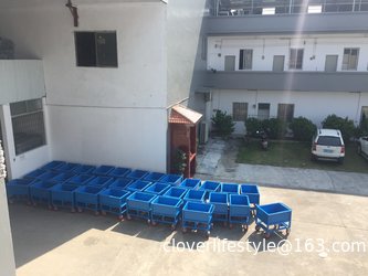 Clover Lifestyle Co., Ltd