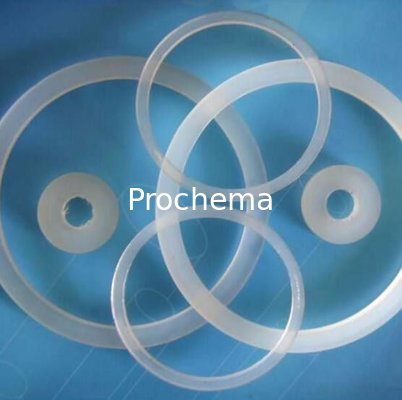 PVDF  gasket