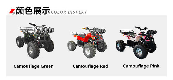 Own factory produced high quality motorcycle powered racing beach buggy 500w 80A for sale